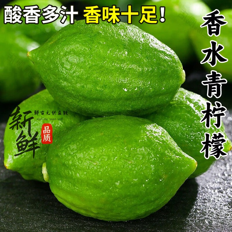 【乌鲁木齐直发】新鲜广州香水柠檬青柠檬水果奶茶店同款包邮