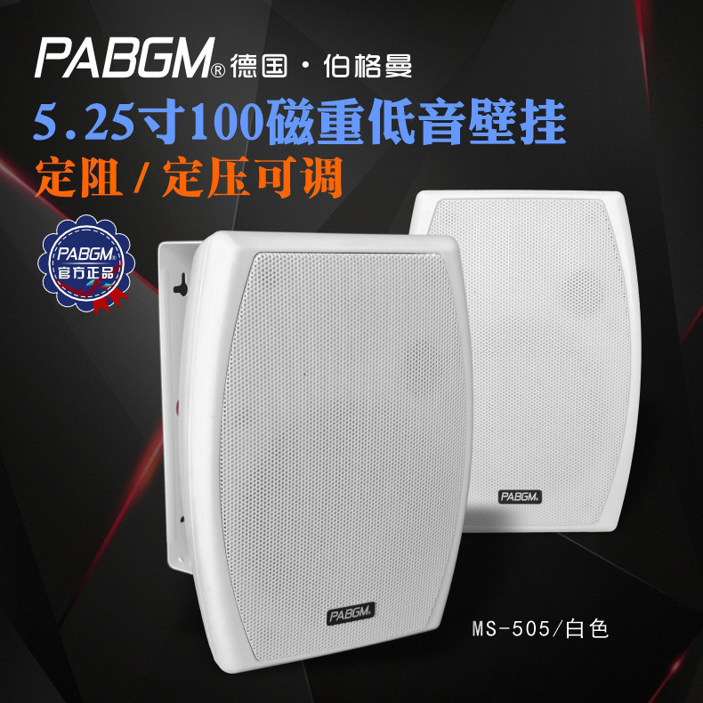 PABGM高保真背景音乐白色挂壁独立高音重低会议餐厅定阻定压可调
