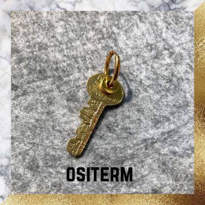 ositerm新品耳环左叶城市医用钢
