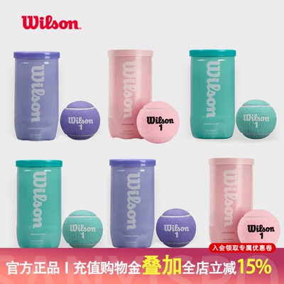 Wilson威尔胜2024新款威尔逊限定粉色比赛网球多场地用球2只装