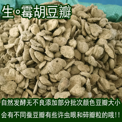 四川生干霉胡豆办自然发酵霉豆子农家自制霉蚕豆瓣郫县豆瓣酱原料