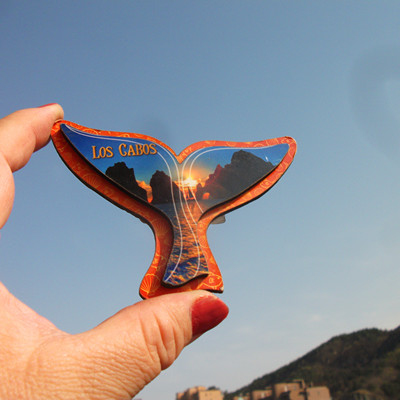 墨西哥当地购买冰箱贴 LOS CABOS 多款 CANCUN 坎昆