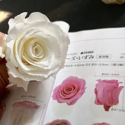 保鲜期长不易碎不易褪色