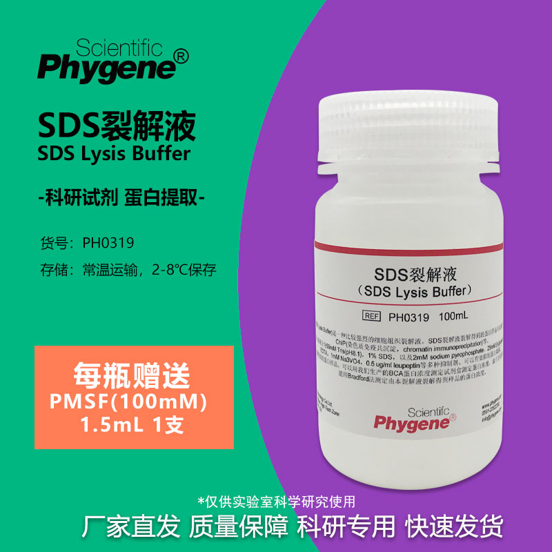 SDS裂解液 100mL 蛋白提取 科研实验试剂 包邮 [PH0319 PHYGENE]