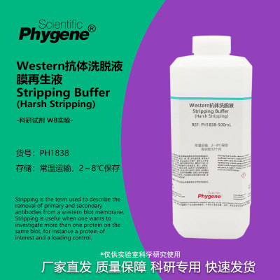 western抗体洗脱液Phygene