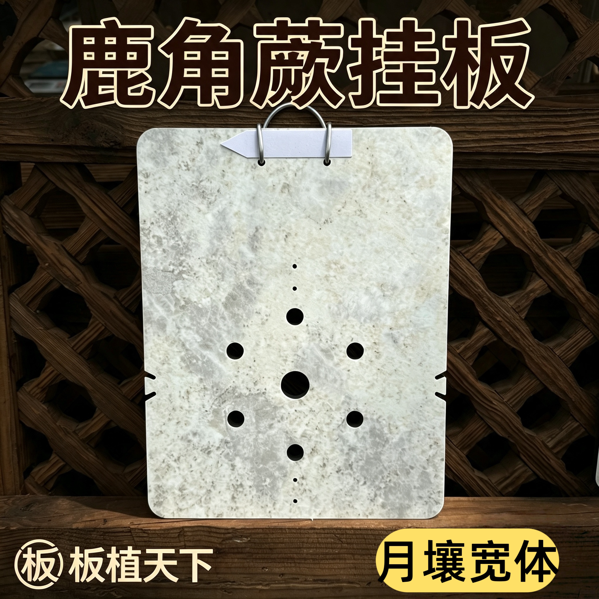 鹿角蕨挂板网红款月壤挂板热植板洞洞板植鹿角蕨高端挂板