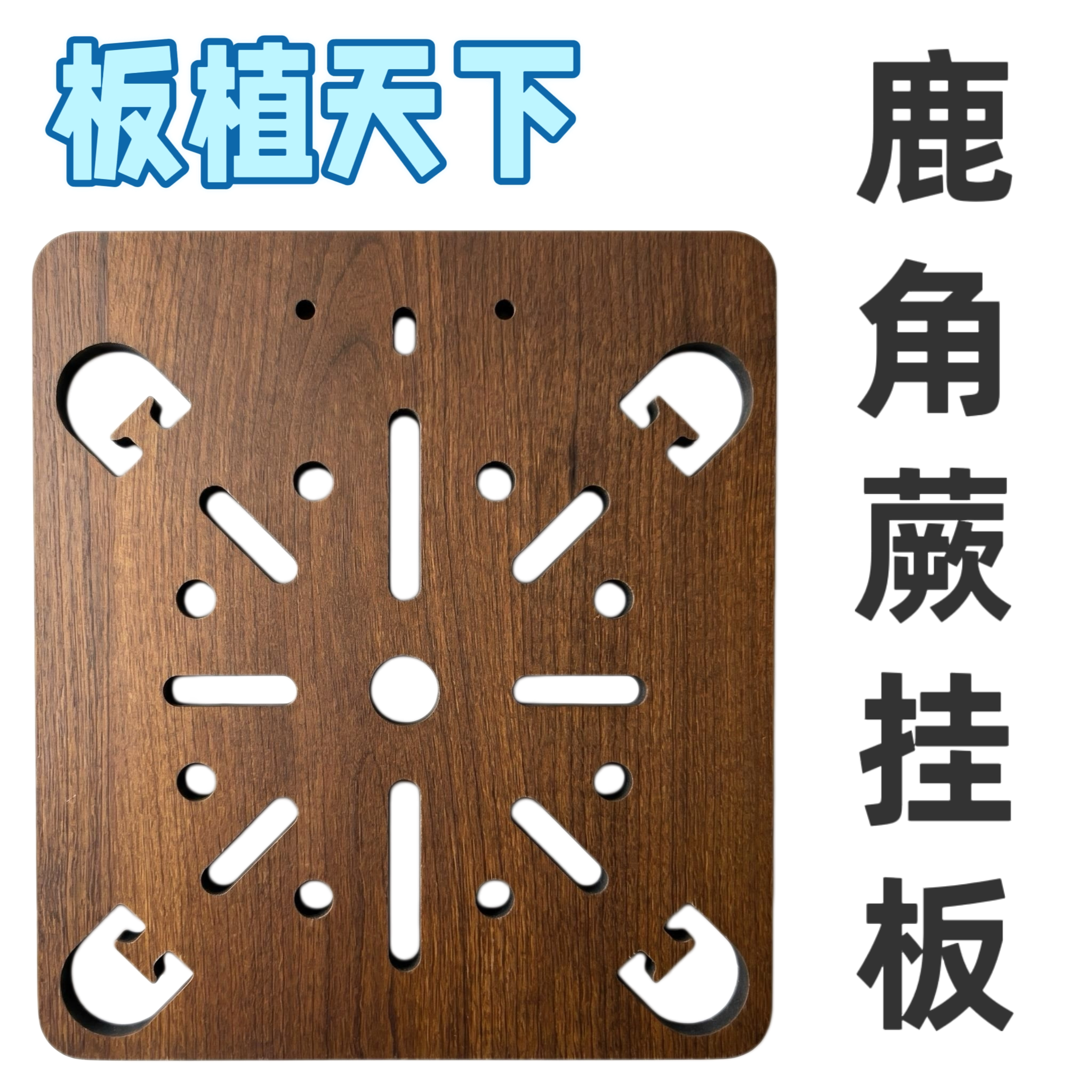 女王鹿角蕨挂板交叉绑线热植板洞洞板植胡桃木纹复合板