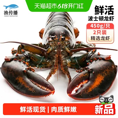 渔传播鲜活现货波士顿龙虾