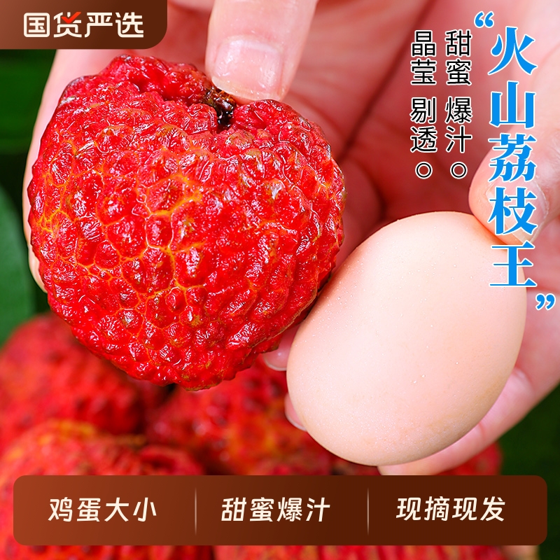 【亿果争鲜】海南火山口荔枝王新鲜水果巨无霸大果应季整箱包邮 商品图