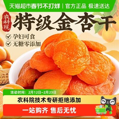特级金杏干无糖无添加