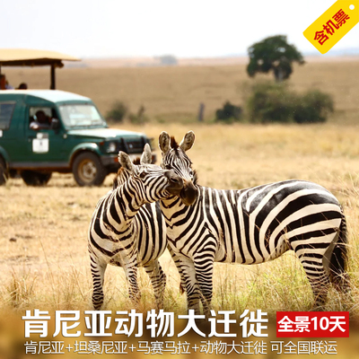 非洲旅游肯尼亚动物大迁徙