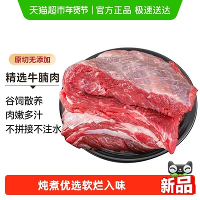 中农顺牛腩国产黄牛肉新鲜整块