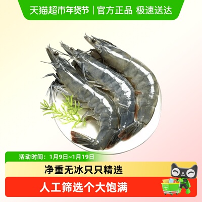 王牌大虾鲜活速冻厄瓜多尔白虾