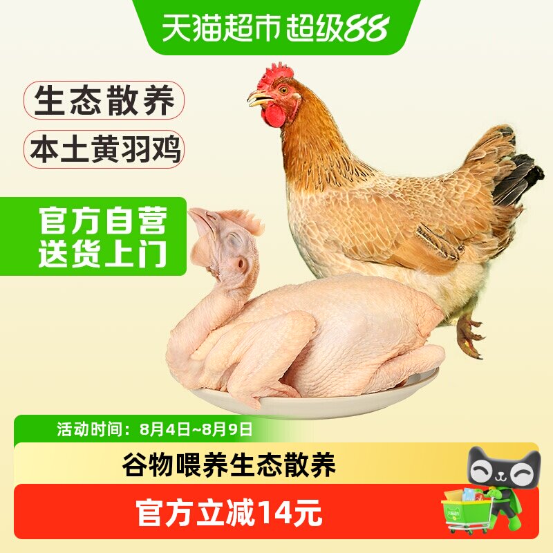 温氏天露三黄鸡散养土鸡农村慢养走地鸡正宗土鸡肉生鲜食品