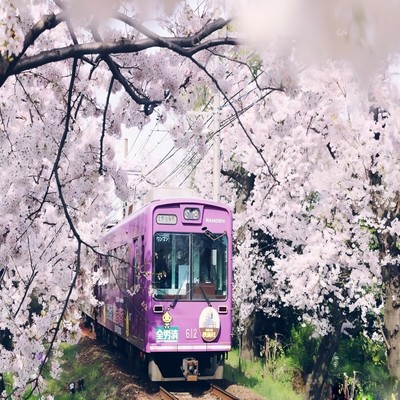 [一键搞定]日本旅游东京自由行5天4晚含机票市区酒店接送 个签