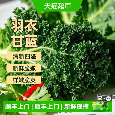 胡鲜森顺丰现摘羽衣甘蓝新鲜多汁