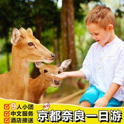 日本京都奈良一日游