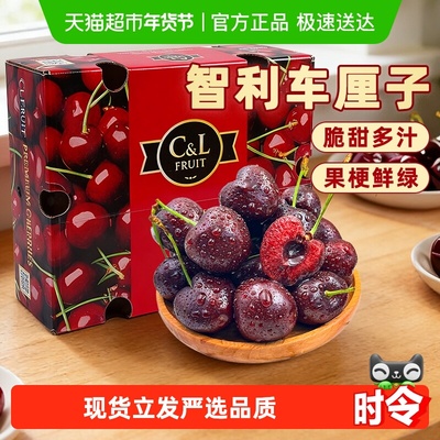 JOYTREE欢乐果园智利进口车厘子