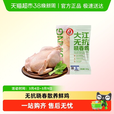 大江无抗原切晓春鸡