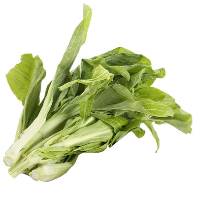 【露天现摘】新鲜白菜苔农家菜