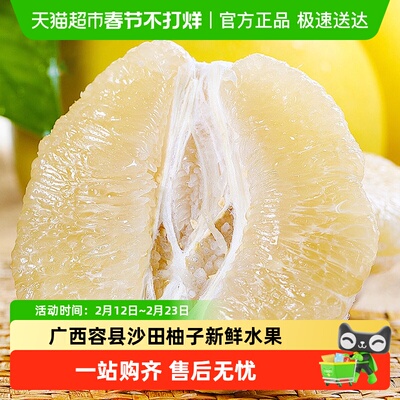 胡鲜森食品广西容县沙田柚子