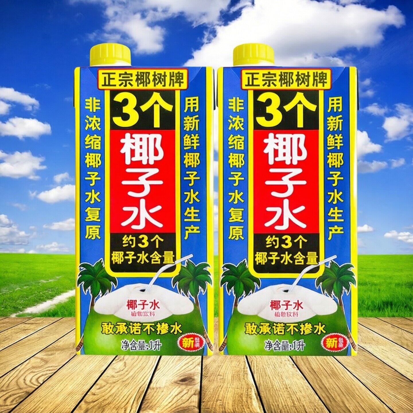 椰树椰子水椰树牌1L*2盒装非浓缩电解质饮料大瓶商用家用海南特产