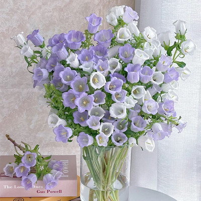 酒杯风铃草铃铛花酒杯风铃