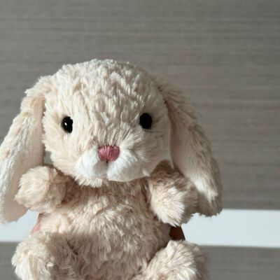 同款公仔系列jellycat甜美玩偶