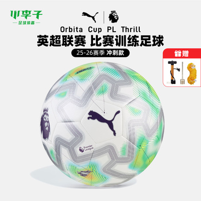 小李子彪马4号5号比赛足球意甲