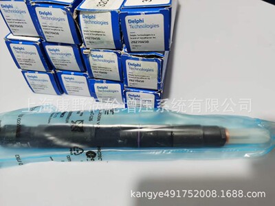 德尔福喷油器适用JCB原装正品