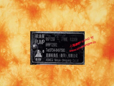 喷油泵B6P1200 BH6P120R2 13309和*BHM6P110YAY315 3092