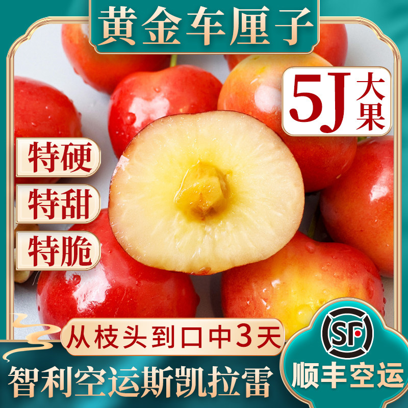 天空之城智利进口斯凯拉雷SkylarRae黄金车厘子礼盒4大樱桃顺丰5j