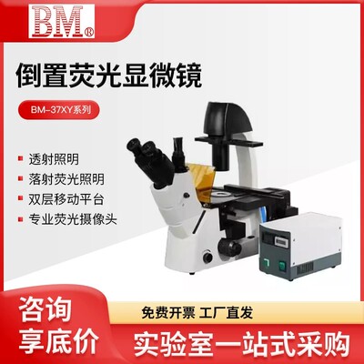 上海彼爱姆BM-37XY*/BM-37XYII倒置荧光显微镜