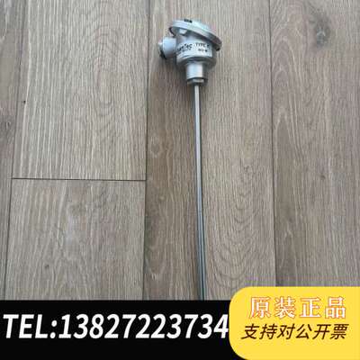 TEAMTEC12501TYPE：KNicr-N温度传感器