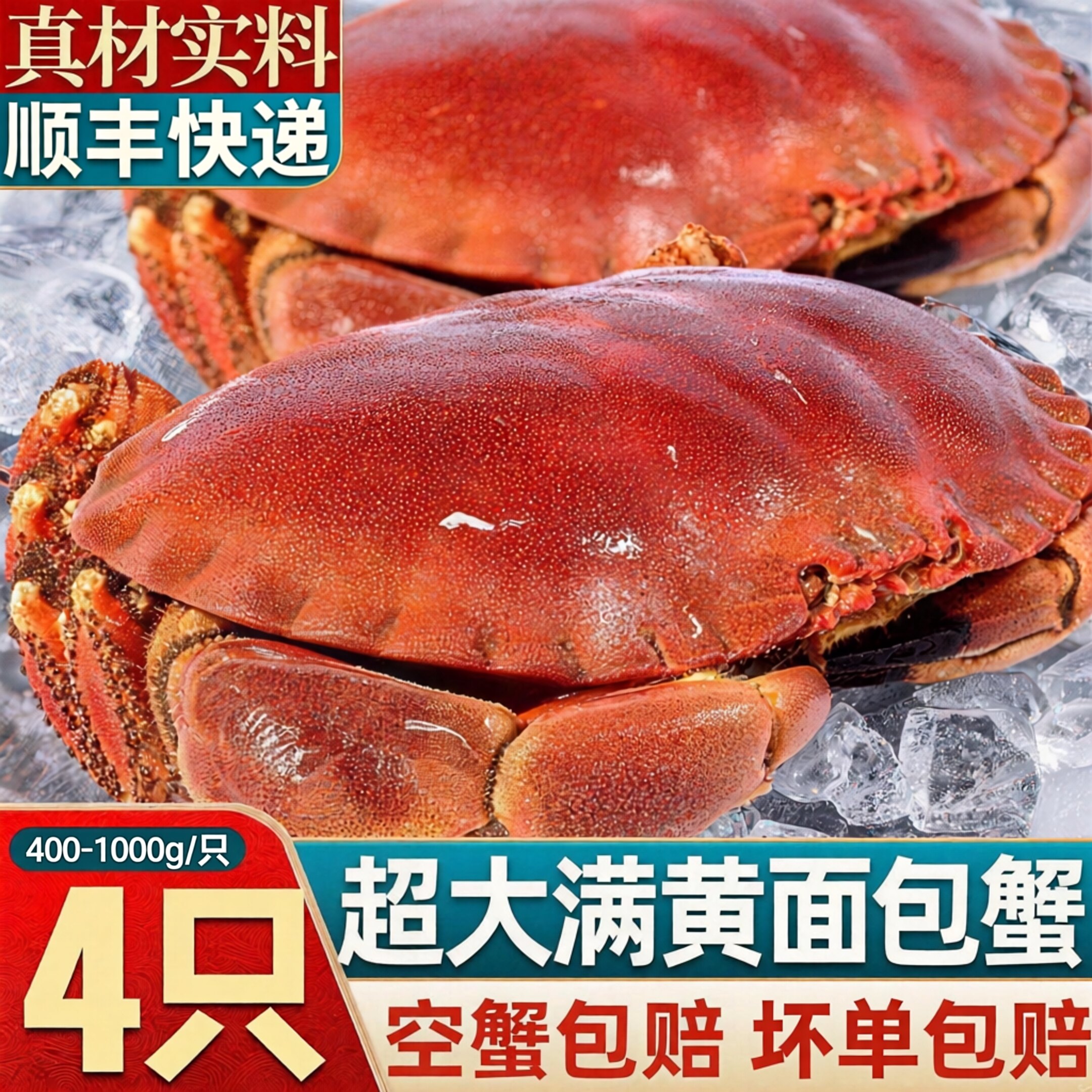 【顺丰到家】超大面包蟹母帝王蟹熟冻大螃蟹海蟹新鲜黄金蟹珍宝蟹