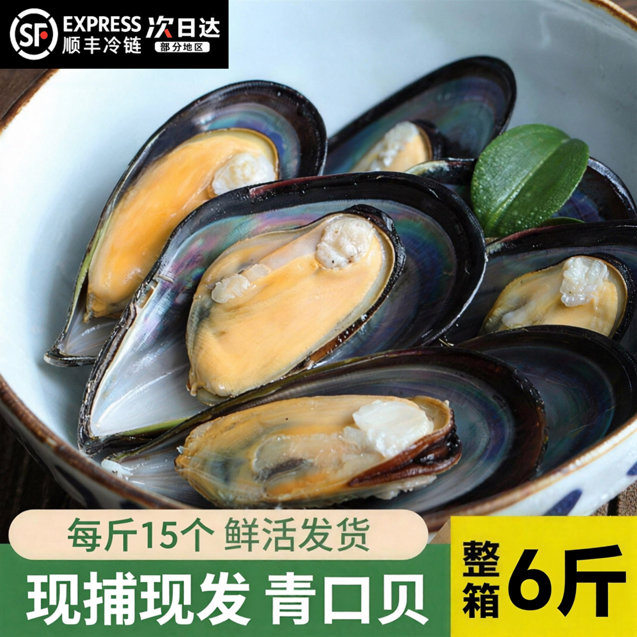 【顺丰到家】鲜活青口贝特大新鲜大海虹淡菜野生贻贝海鲜贝类水产