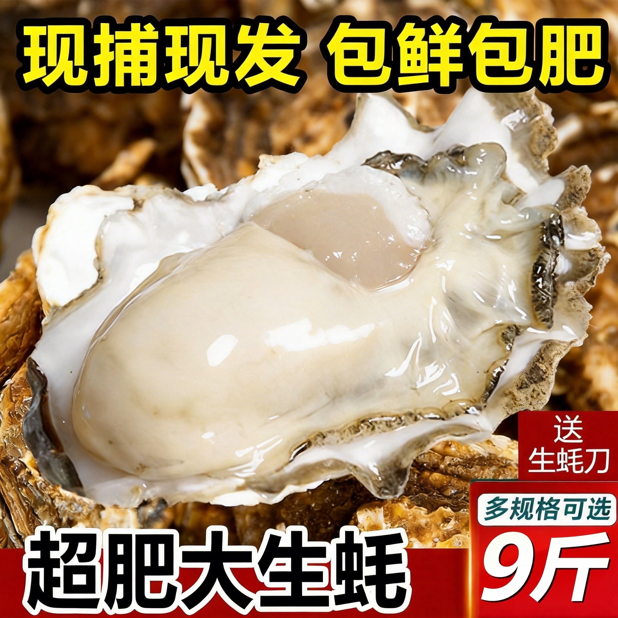 【顺丰到家】超大生蚝乳山特大鲜活海蛎子现捕现发生蚝牡蛎生海鲜