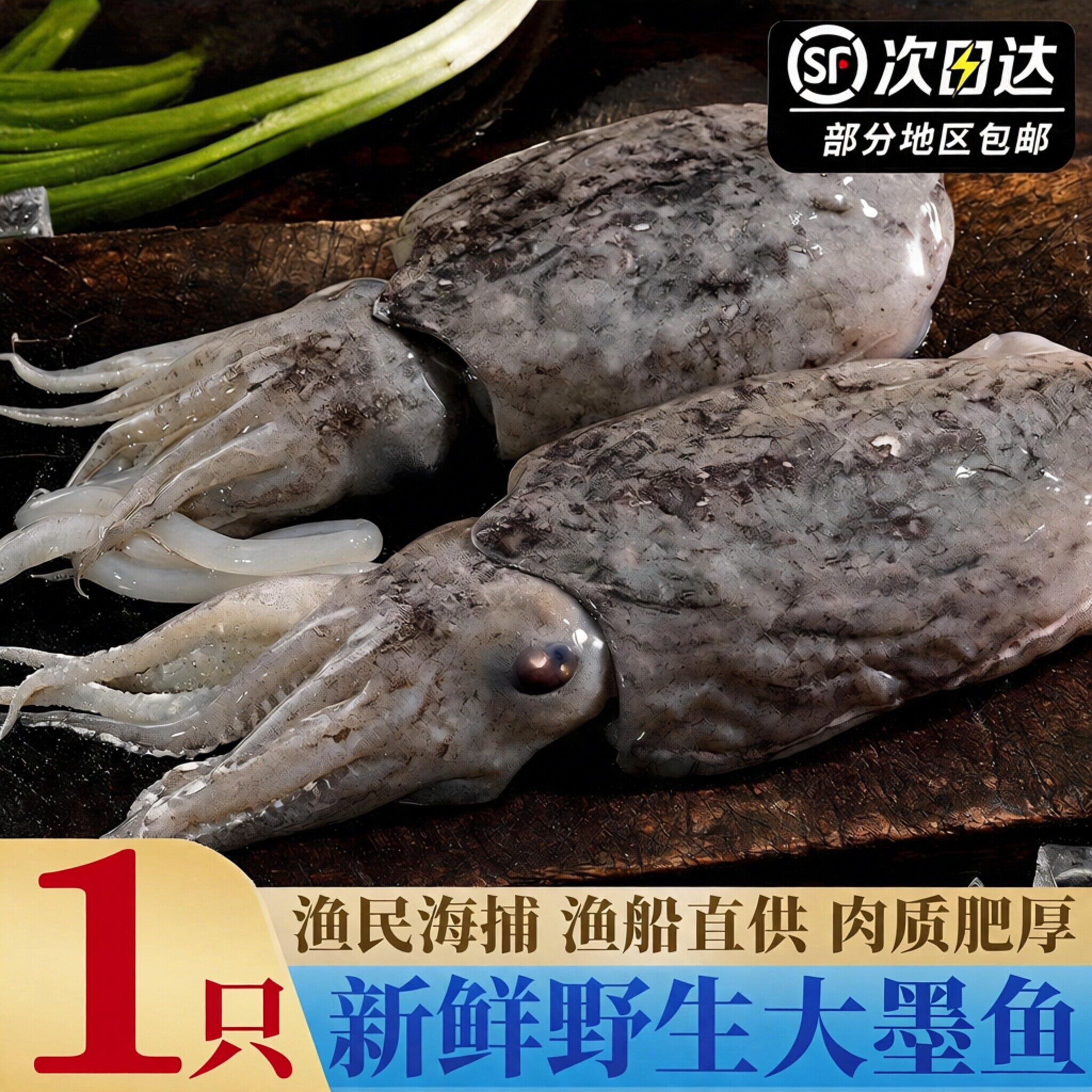 【顺丰到家】新鲜大墨鱼冷冻墨鱼仔超大生鲜水产海鲜乌贼目鱼整只