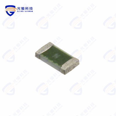 CC12H500MA-TR《FUSE BOARD MOUNT 500MA 63V 1206》