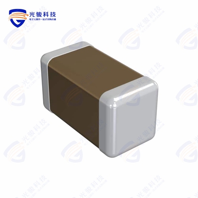 AQ0402BRNPO9BNR10《CAP CER 0.1PF 50V C0G/NPO 0402》