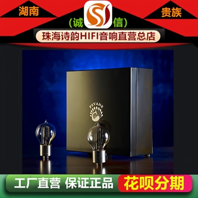 工厂店 PSVANE/贵族之声WE205D复刻美国西电电子管代WE101胆机管