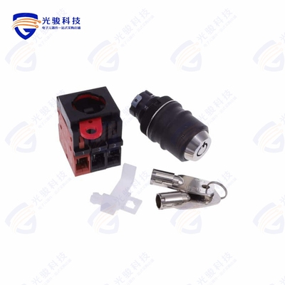 A22TK-2RR-21-K01 《SWITCH KEYLCK 2POS DPST 10A 110V》