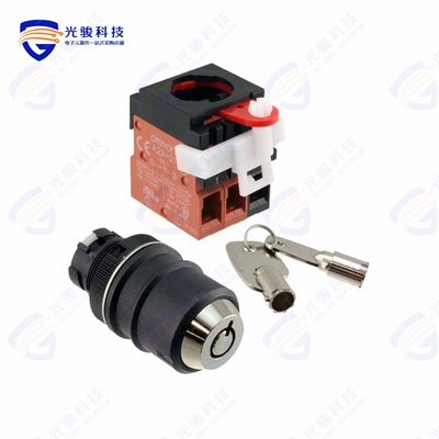 A22TK-2LR-12-K06 《SWITCH KEYLCK 2POS DPST 10A 110V》