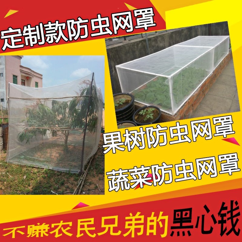 花花果树水果育苗防虫网罩农用杨梅樱桃蚊帐罗幔防鸟网防风网40目