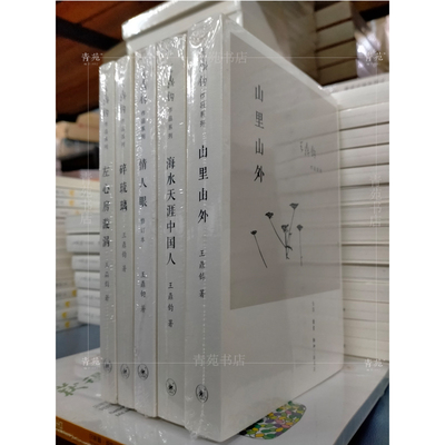 （自选系列） 王鼎钧作品系列：左心房漩涡.碎琉璃.情人眼.海水天涯中国人.山里山外 （王鼎钧 著 北三联）