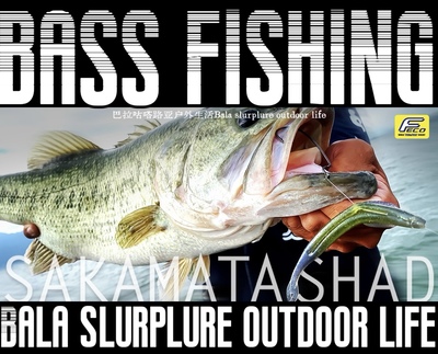 DEPS高比重路亚软饵中国台湾好用