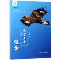 天空--飞过北京上空的猛禽/自然之友书系张鹏中国林业出版社科学技术类原版书QG