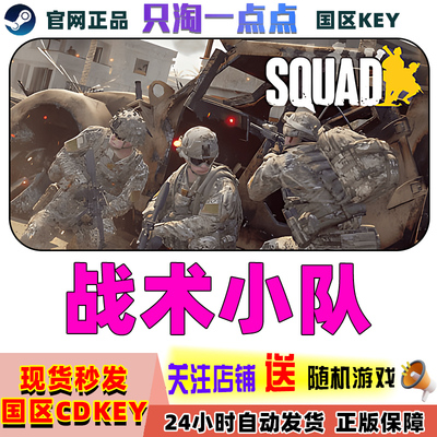 Steam正版游戏 战术小队  Squad  多人竞技 国区激活码