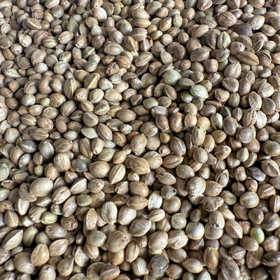 麻子 麻籽 火麻仁 鹦鹉鸟食鸟粮饲料仓鼠粮鸽粮 小太阳和尚线麻子