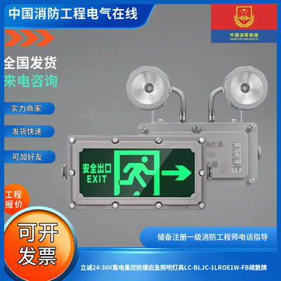 立诚24-36V集电集控防爆应急照明灯具LC-BLJC-1LROE1W-FB双头灯
